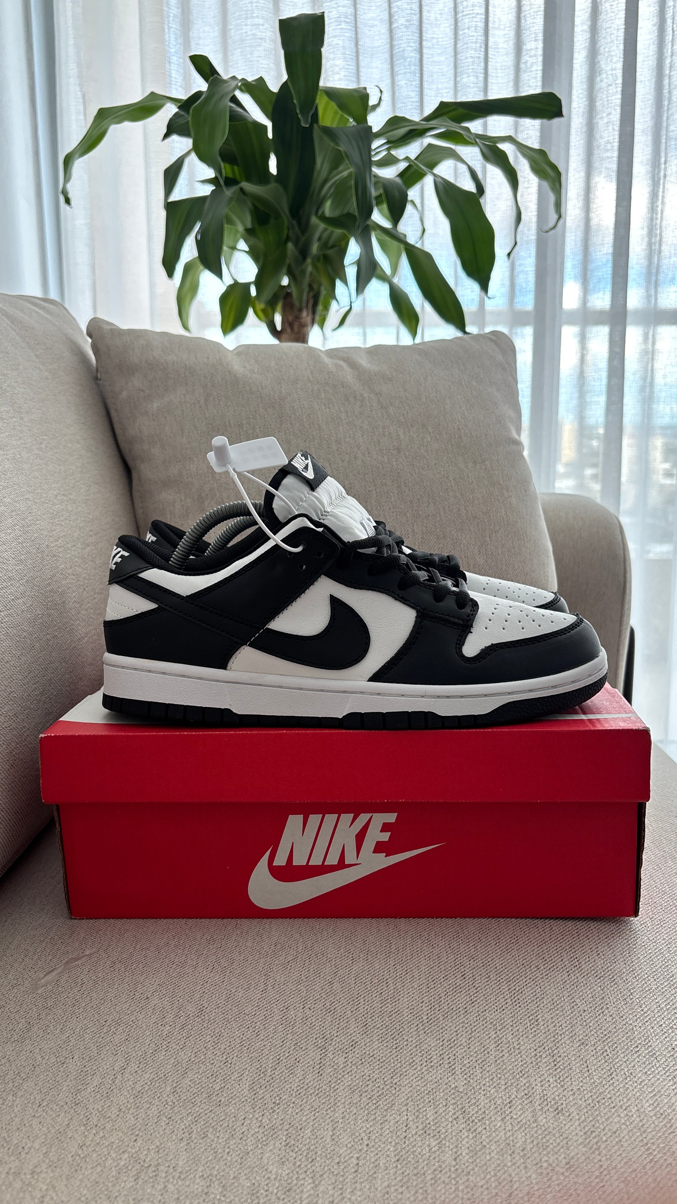 NIKE SB PANDA – COSTA SNEAKERS